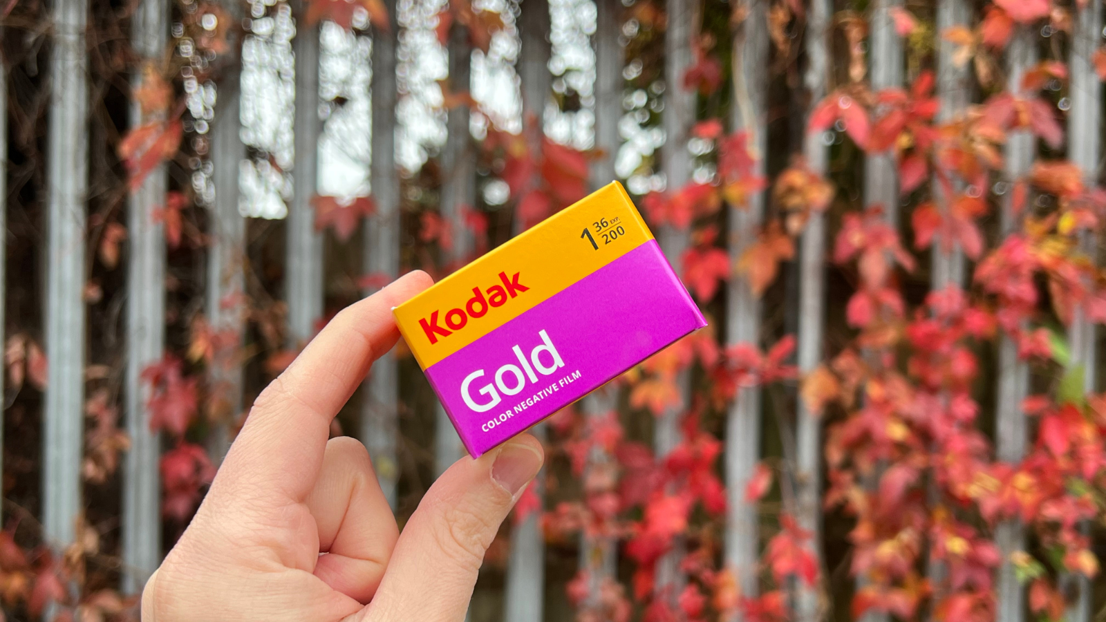 Shooting Your First Roll of Film 🎉 Top Tips