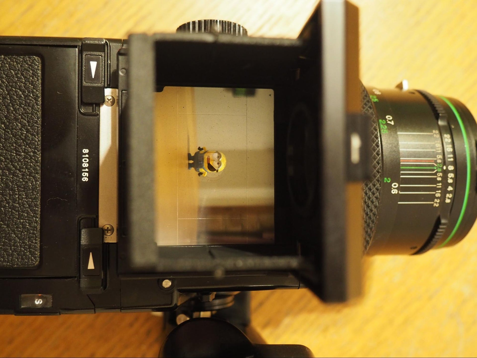 An Introduction to 120 Film: Medium Format Fun