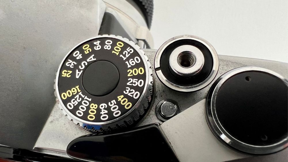 Film Speed Explained: Demystifying ISO