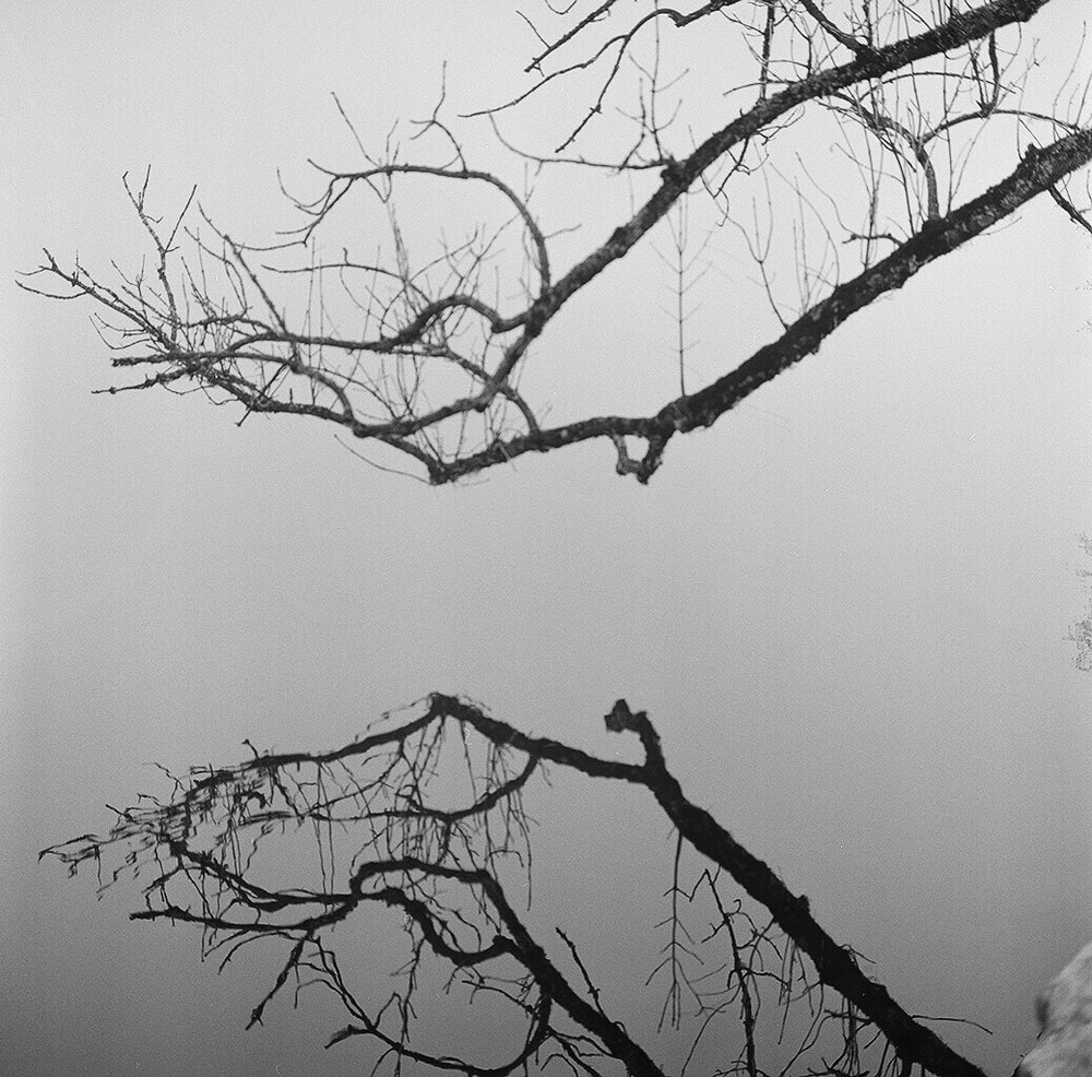 Ilford HP5 Plus - 120 Film - Analogue Wonderland