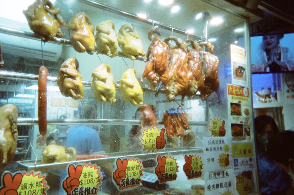 Amber T800 - Disposable Film Camera - Analogue Wonderland