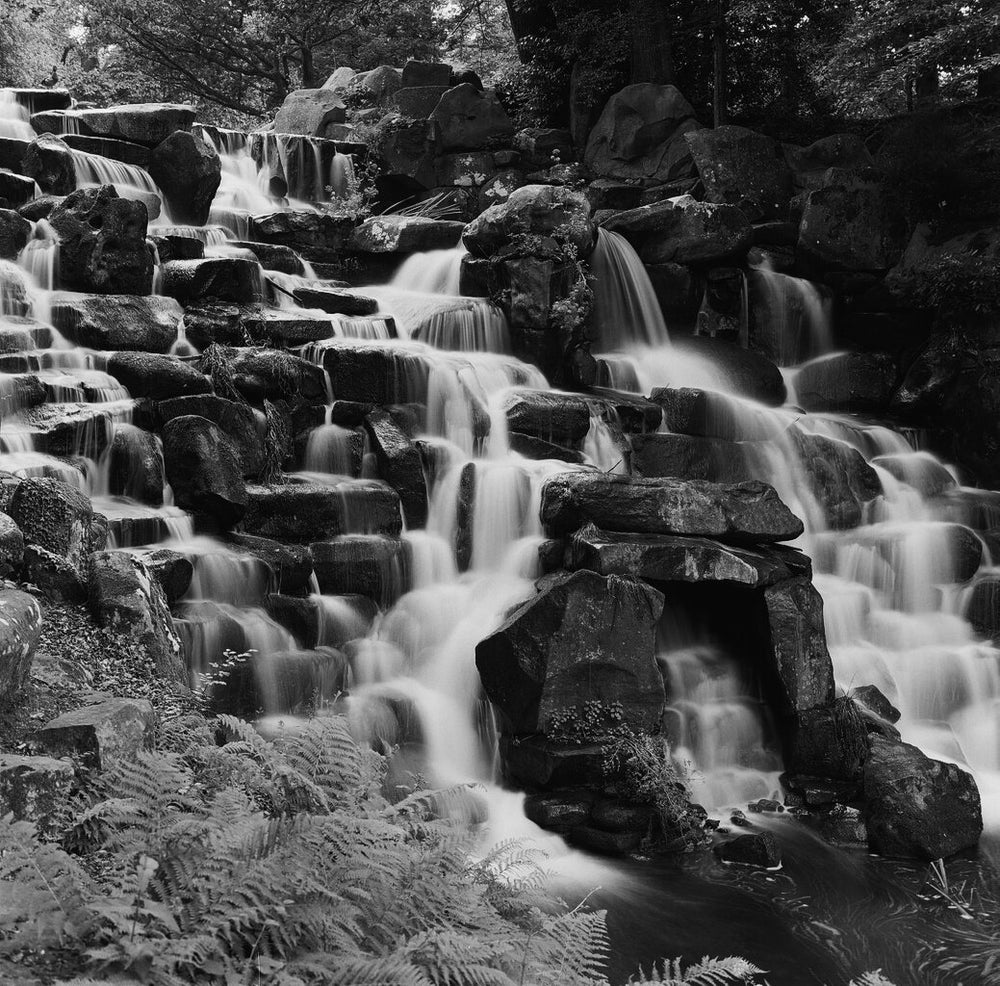 Fomapan Classic 100 - 120 Film - Analogue Wonderland