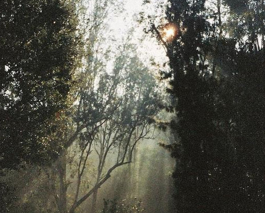 Fukkatsu Colour - 110 Film - Expired - Analogue Wonderland