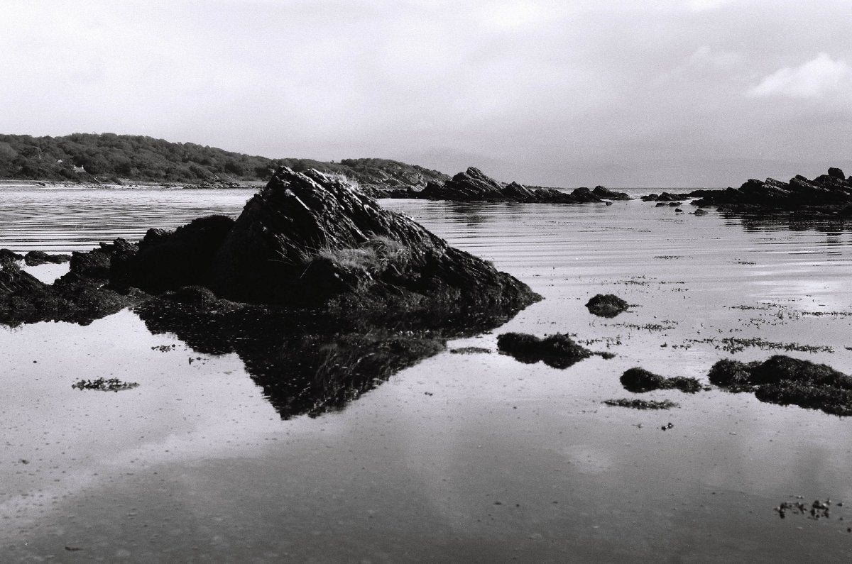 Ilford Pan F Plus - 35mm Film - Analogue Wonderland