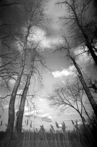 Bulk Film: 35mm | Bulk Rolls | Analogue Wonderland