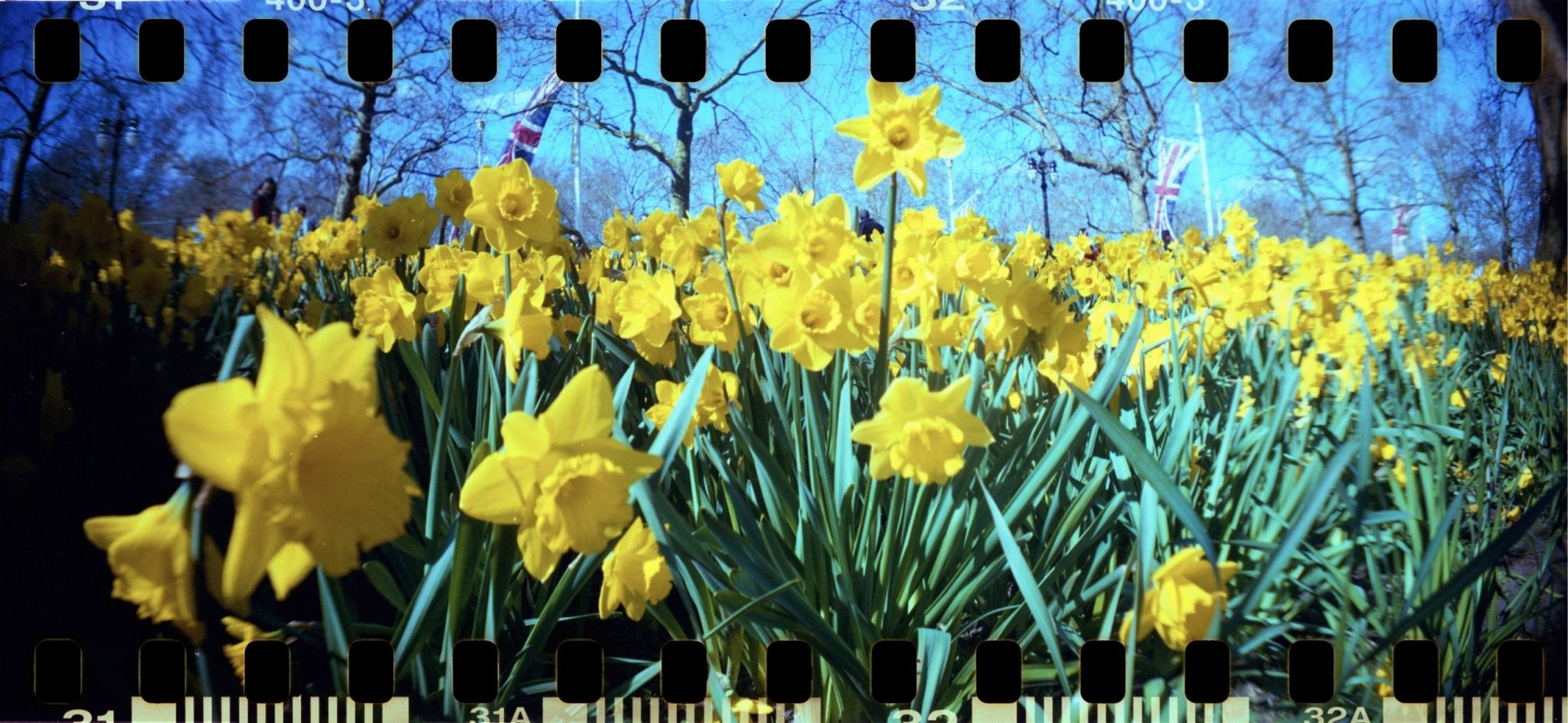 Lomography Digitaliza - 35mm Film Scanning Mask - Analogue Wonderland