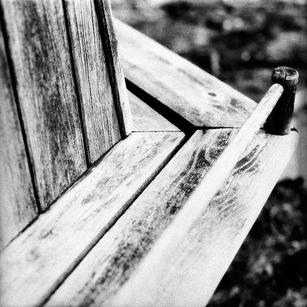 Washi F - 120 Film - Analogue Wonderland